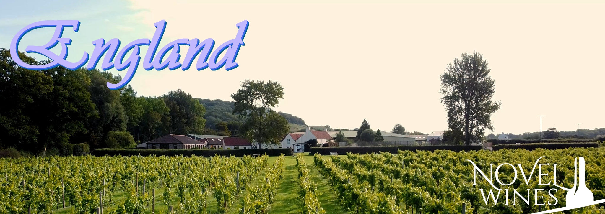 Your Guide to The Wines of England - This Month's Novel Wines Explorer