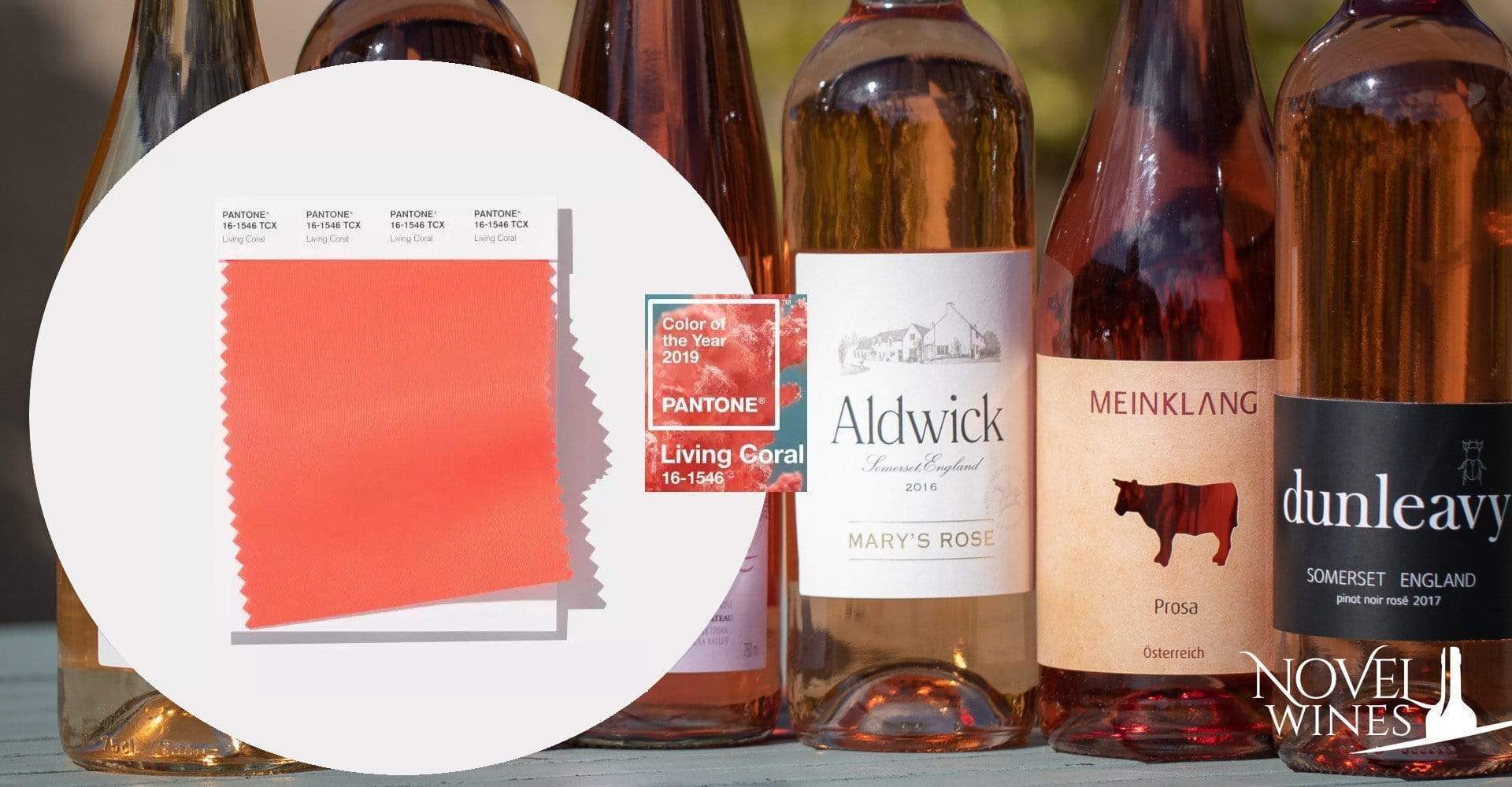 Celebrating 2019 Pantone Color of the Year 'Living Coral' with Rosé