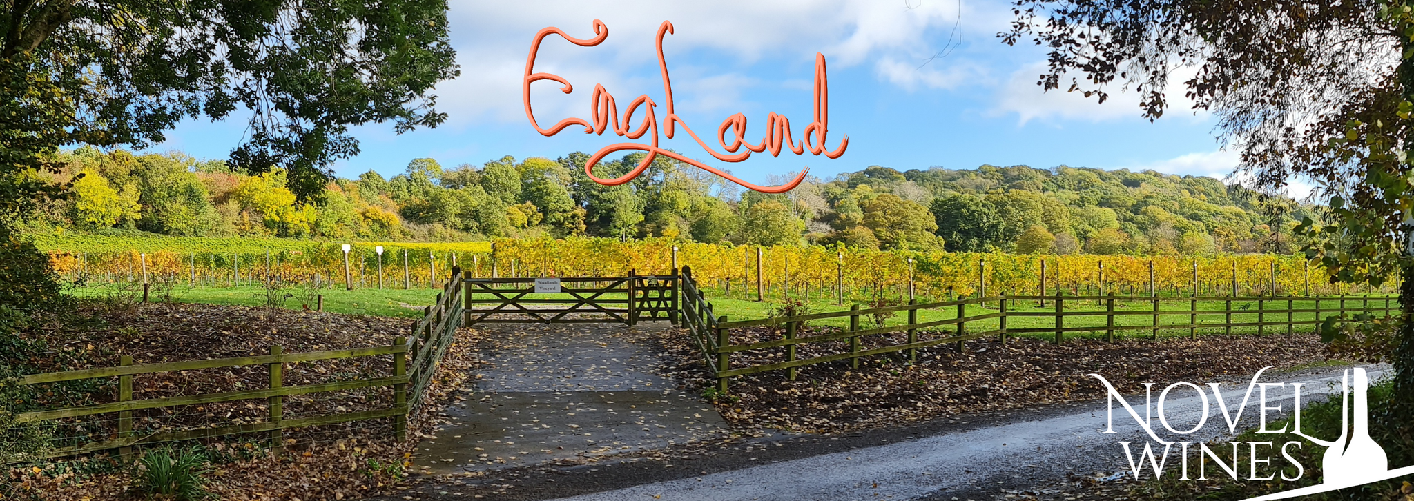 Your Guide to Wines from England - This Month's Novel Wines Explorer's
