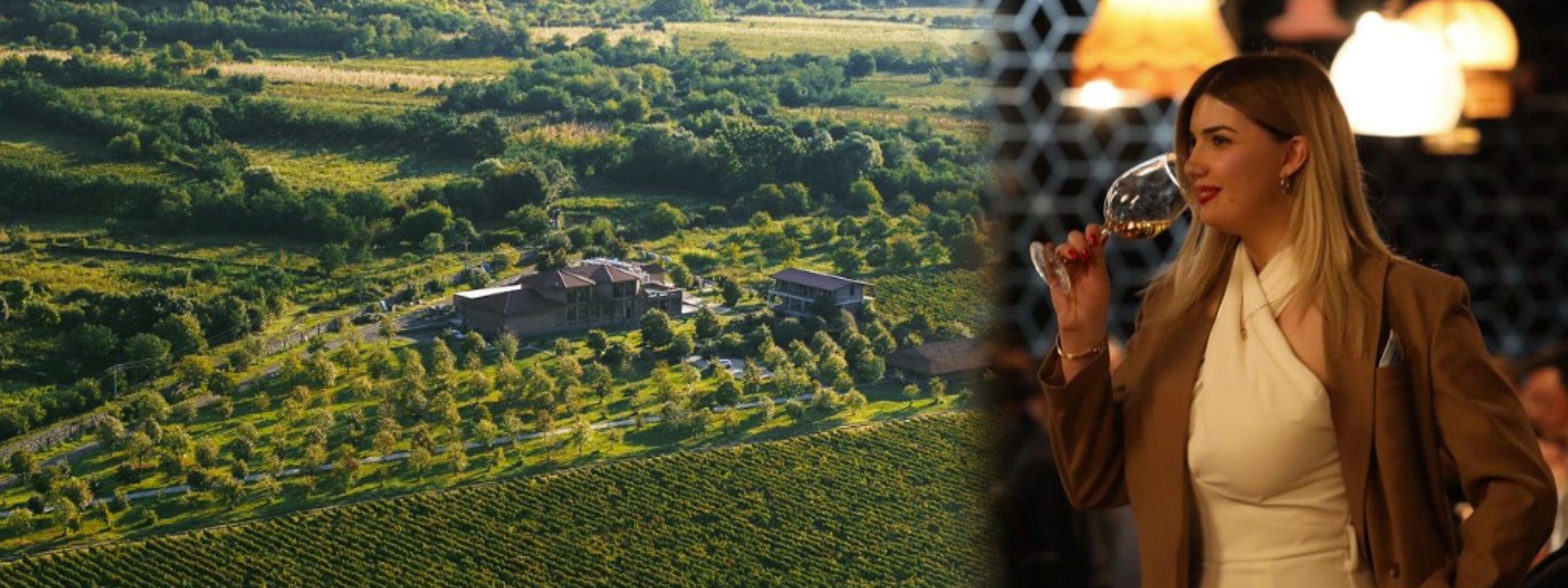 Novel Wines - Buy Wine Online | Discover Truly Unique Wines